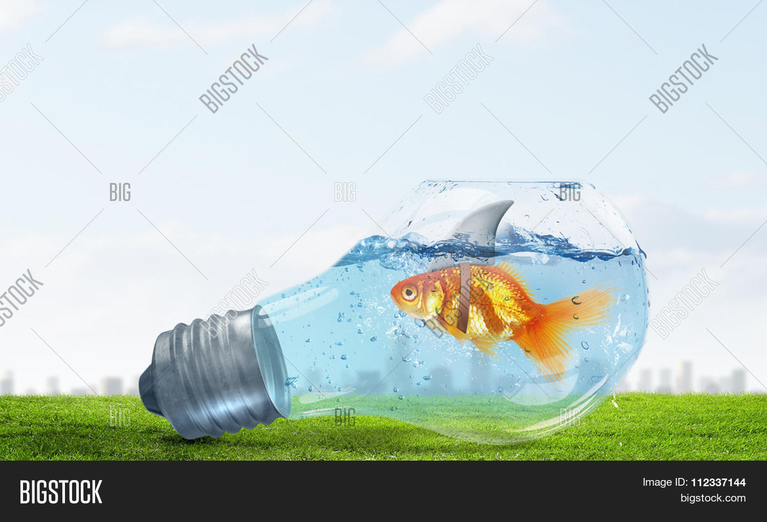 Little Goldfish Light Image & Photo (Free Trial) | Bigstock