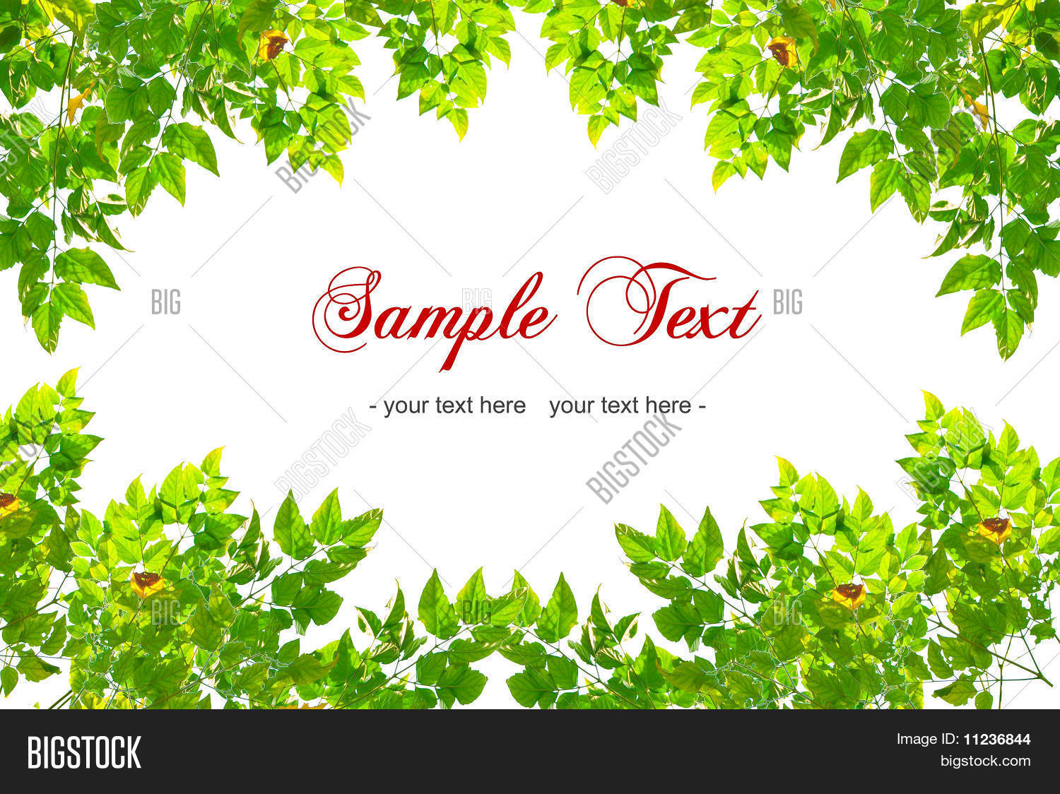 Green Leaf Frame Image & Photo (Free Trial) | Bigstock