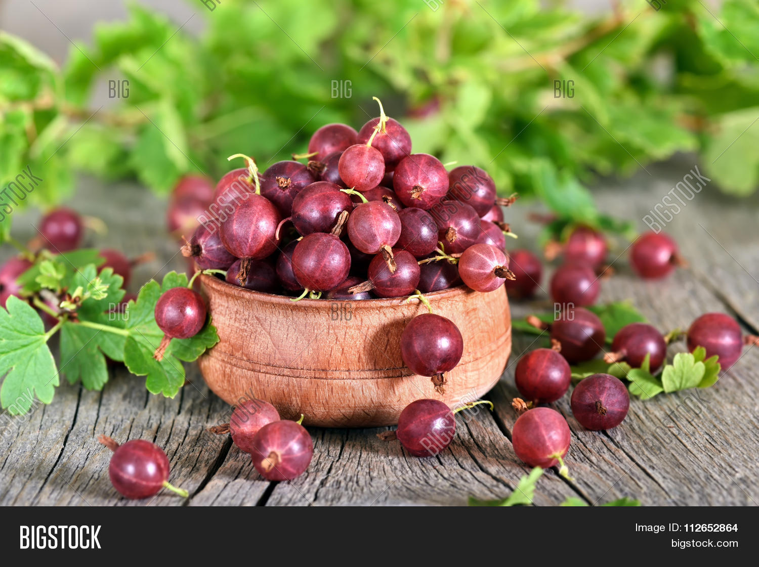 Red Gooseberries On Image & Photo (Free Trial) | Bigstock