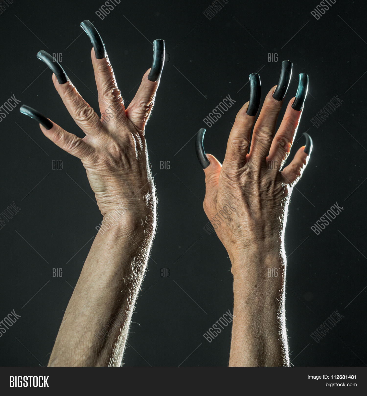 Old Female Hands Long Image & Photo (Free Trial) | Bigstock