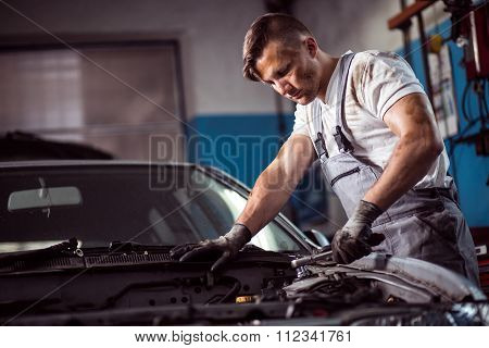 Muscled Car Mechanic Image & Photo (Free Trial) | Bigstock