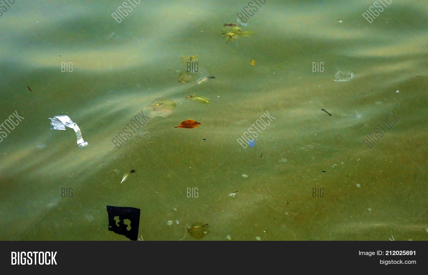 Dirty Polluted Water Image & Photo (Free Trial) | Bigstock