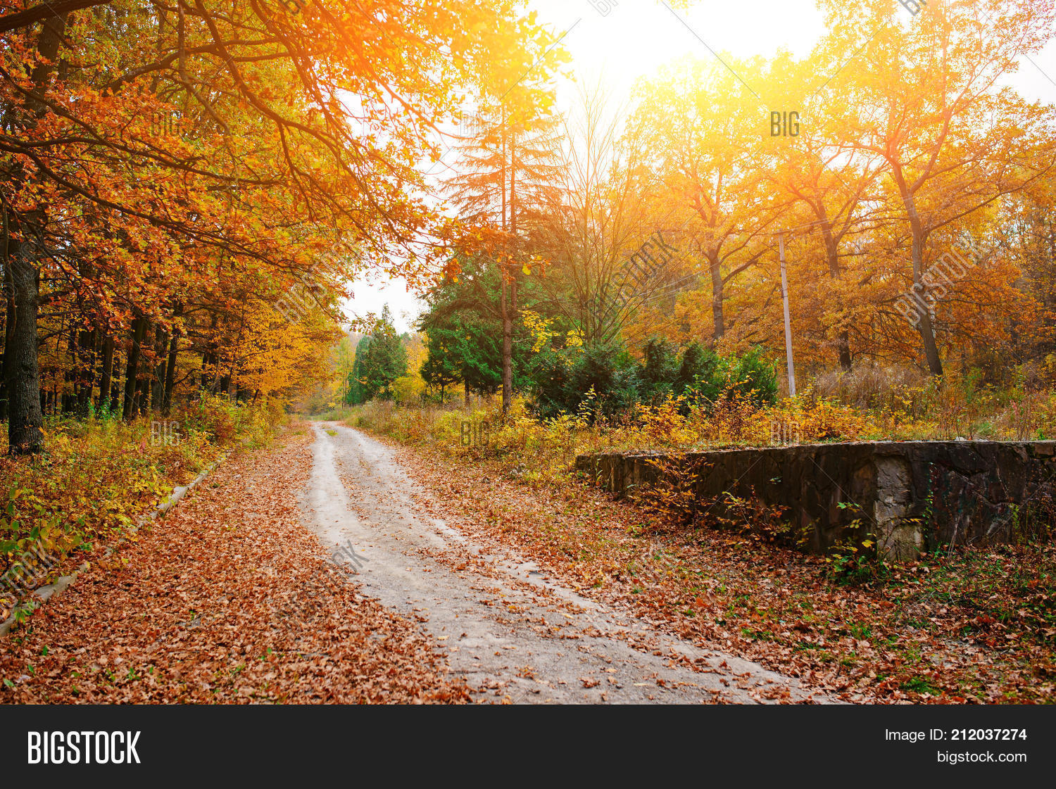 Bright Colorful Image & Photo (Free Trial) | Bigstock