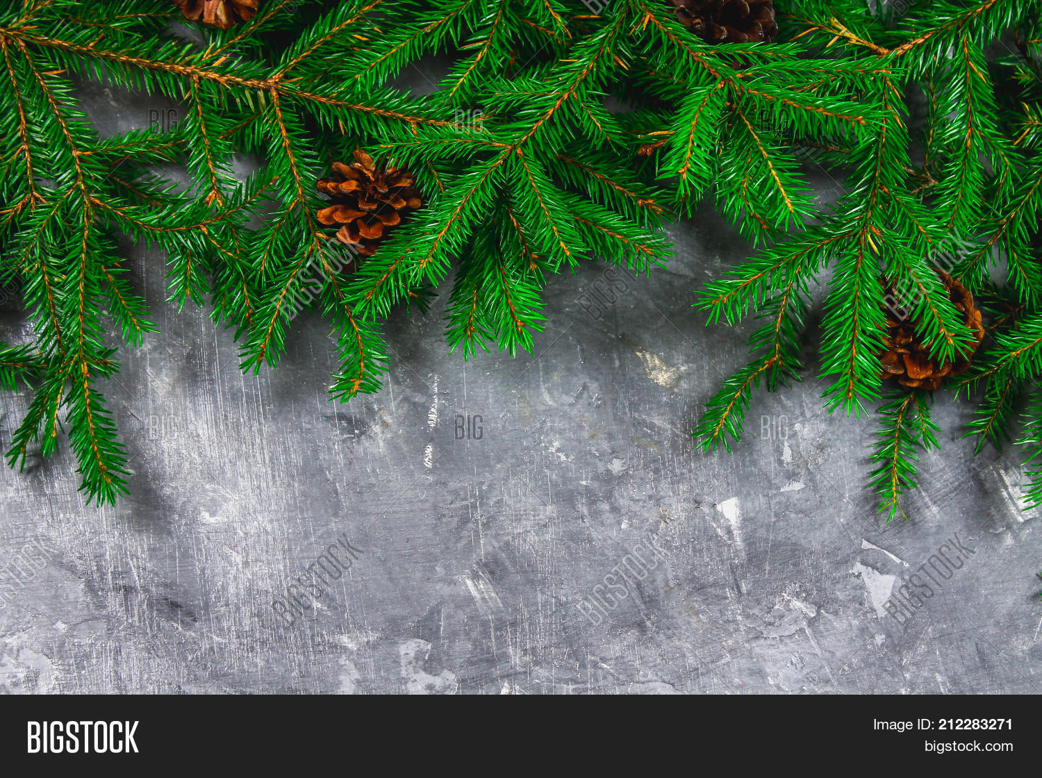 Spruce New Year Image & Photo (Free Trial) | Bigstock