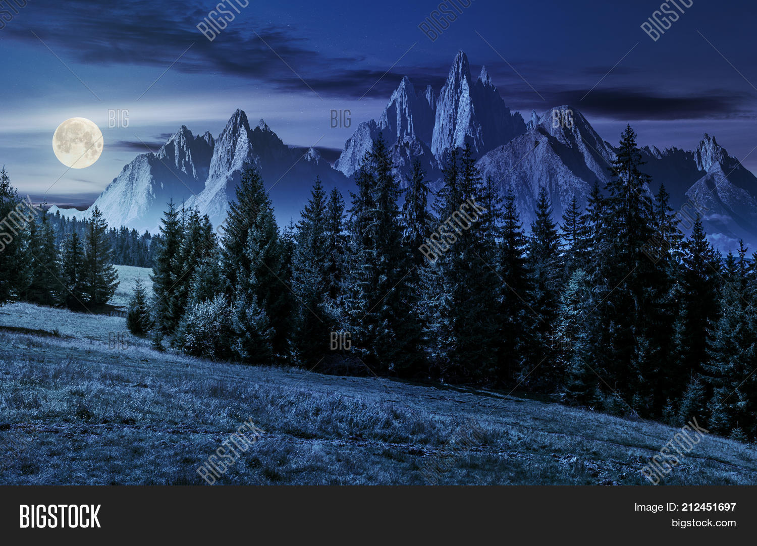 Forest Mountains Rocky Image & Photo (Free Trial) | Bigstock