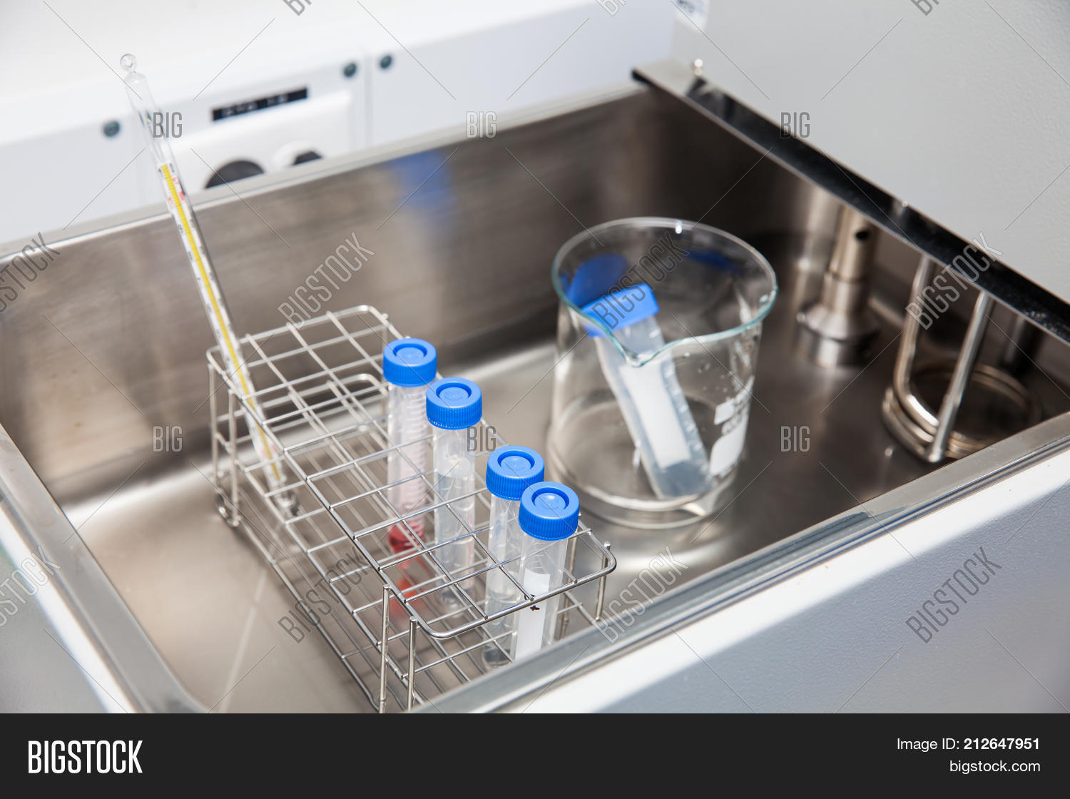 Falcon Tubes Rack Hot Image & Photo (Free Trial) | Bigstock