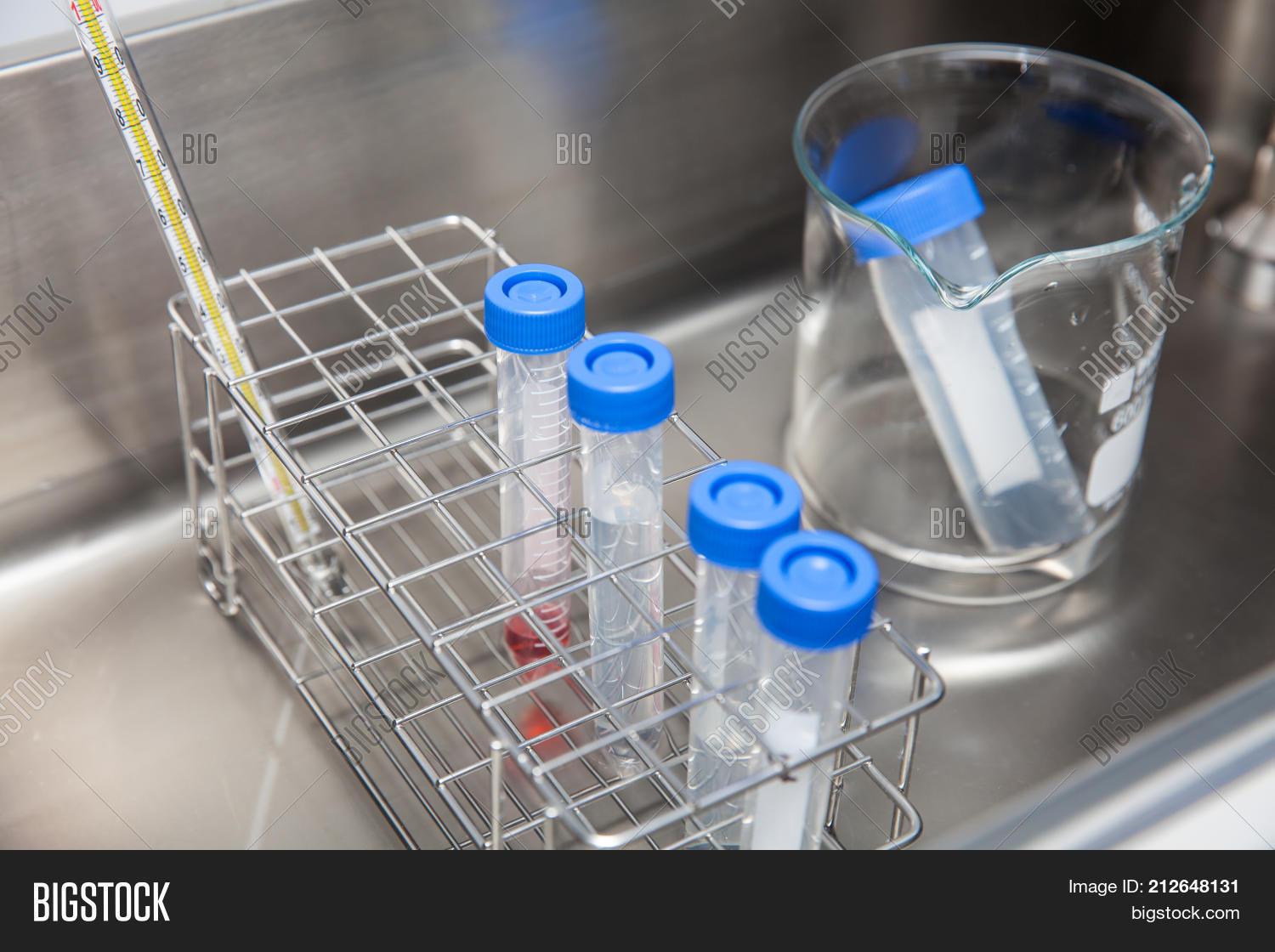 Falcon Tubes Rack Hot Image & Photo (Free Trial) | Bigstock