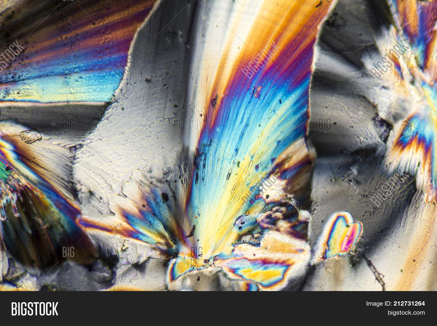 Microscopic Shot Image & Photo (Free Trial) | Bigstock