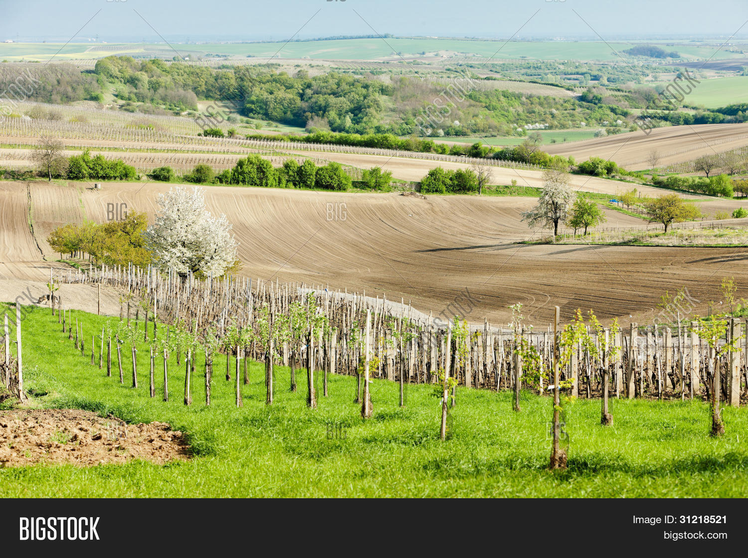 Landscape Near Vrbice Image & Photo (Free Trial) | Bigstock