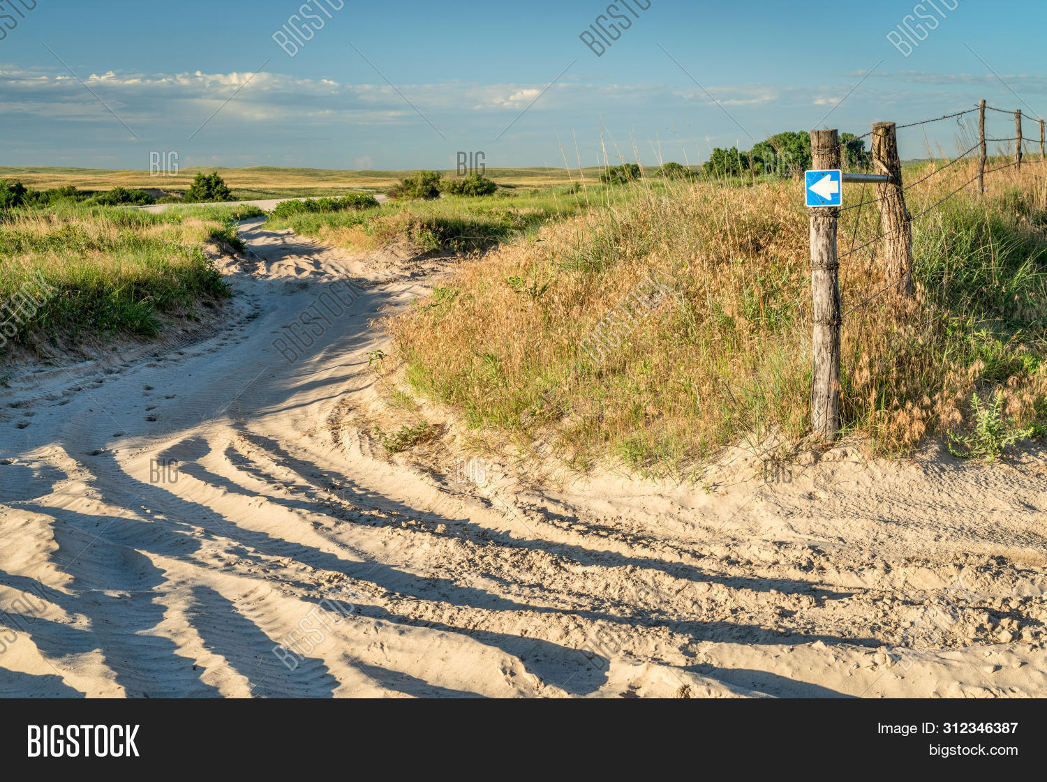 Sandy Off-road Trails Image & Photo (Free Trial) | Bigstock