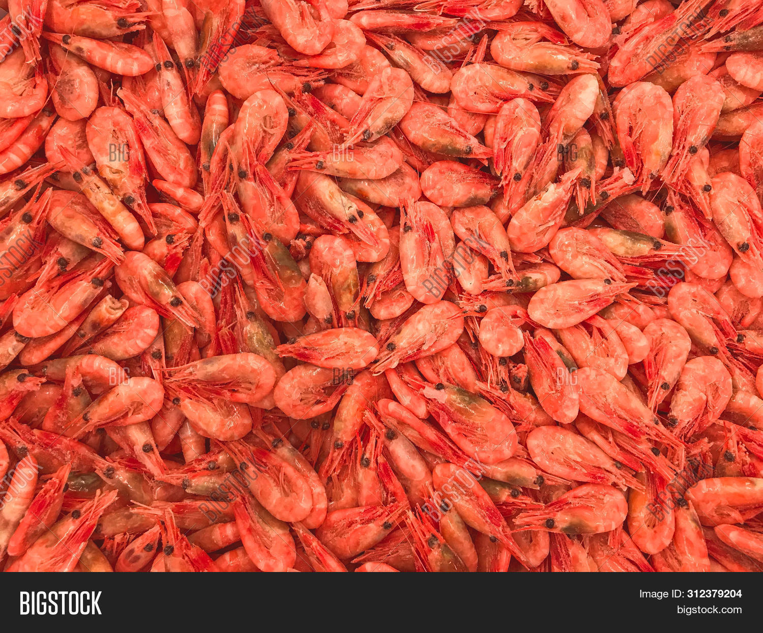 Shrimp Background Image & Photo (Free Trial) | Bigstock