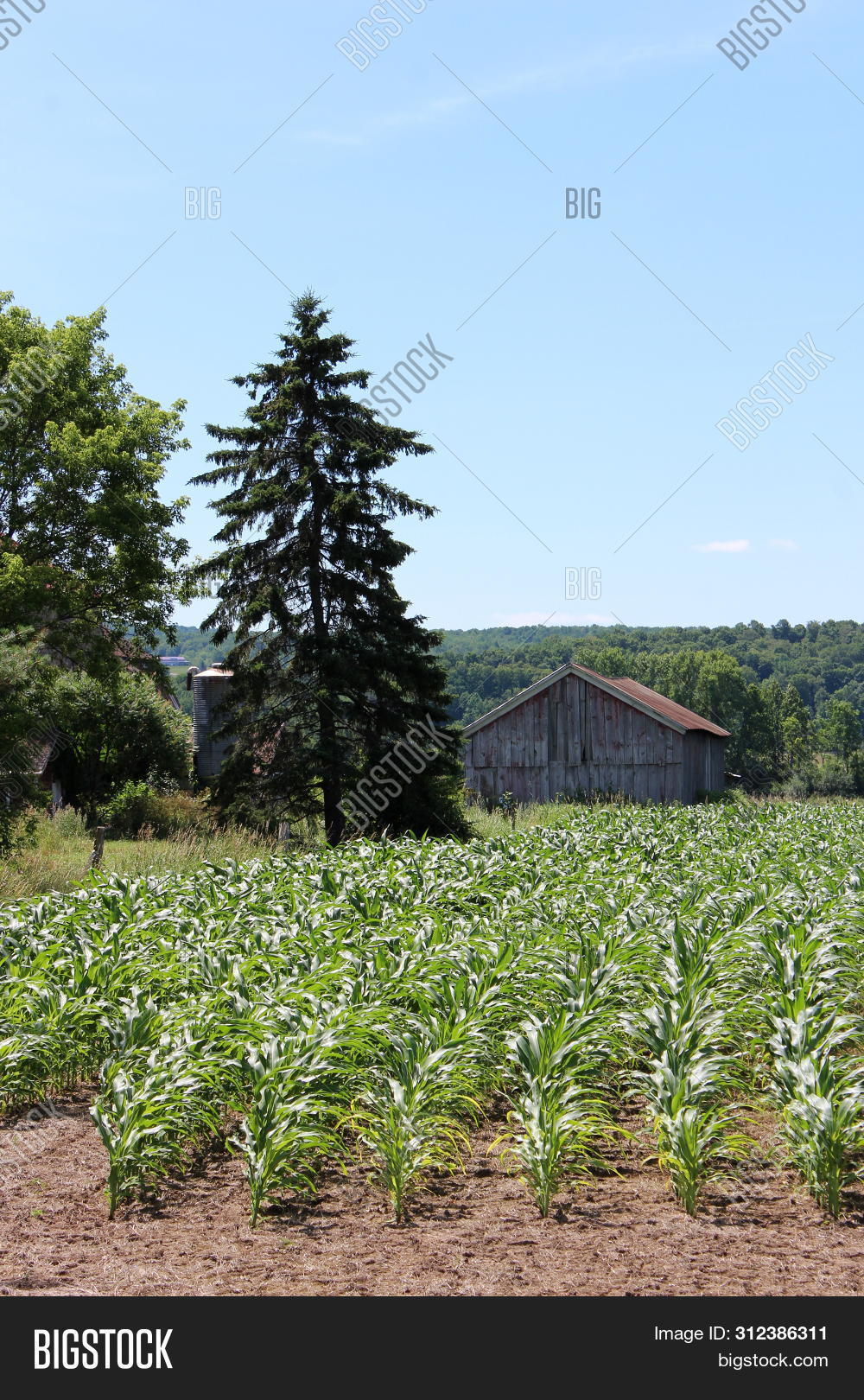 Large Open Fields Rows Image & Photo (Free Trial) | Bigstock