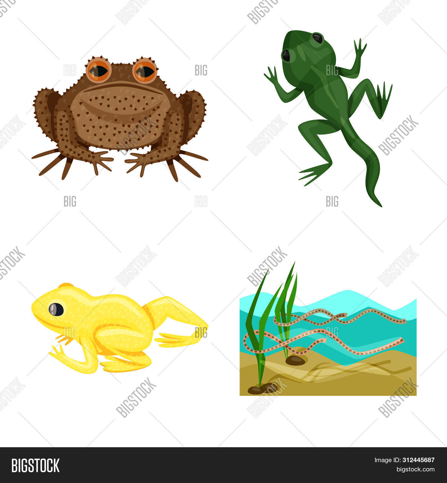 Bitmap Design Frog Image & Photo (Free Trial) | Bigstock