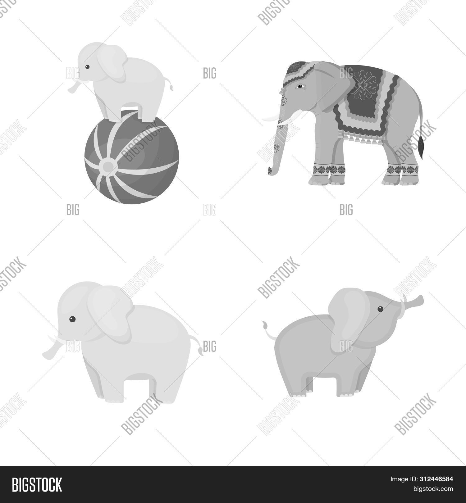 Bitmap Design Elephant Image & Photo (Free Trial) | Bigstock