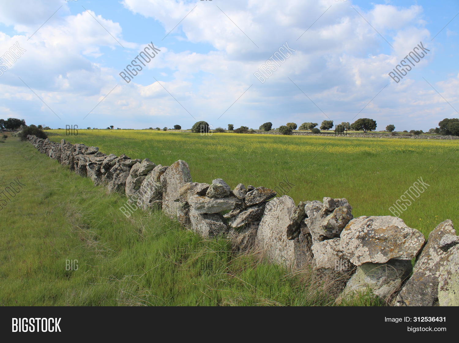 Beautiful Stone Wall Image & Photo (Free Trial) | Bigstock