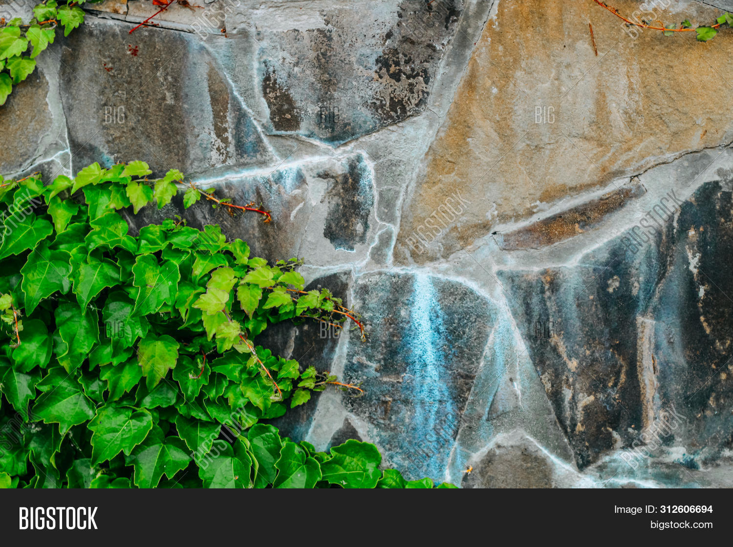 Ivy On Stone Wall. Image & Photo (Free Trial) | Bigstock