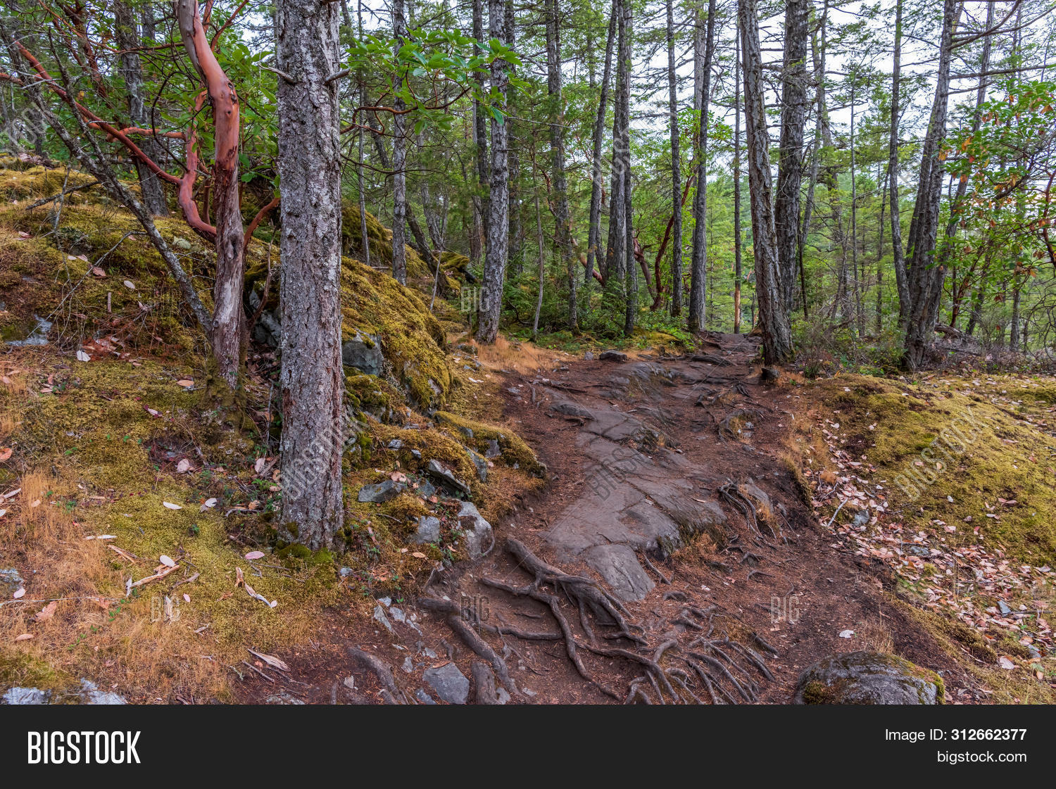 View Mountain Trail Image & Photo (Free Trial) | Bigstock