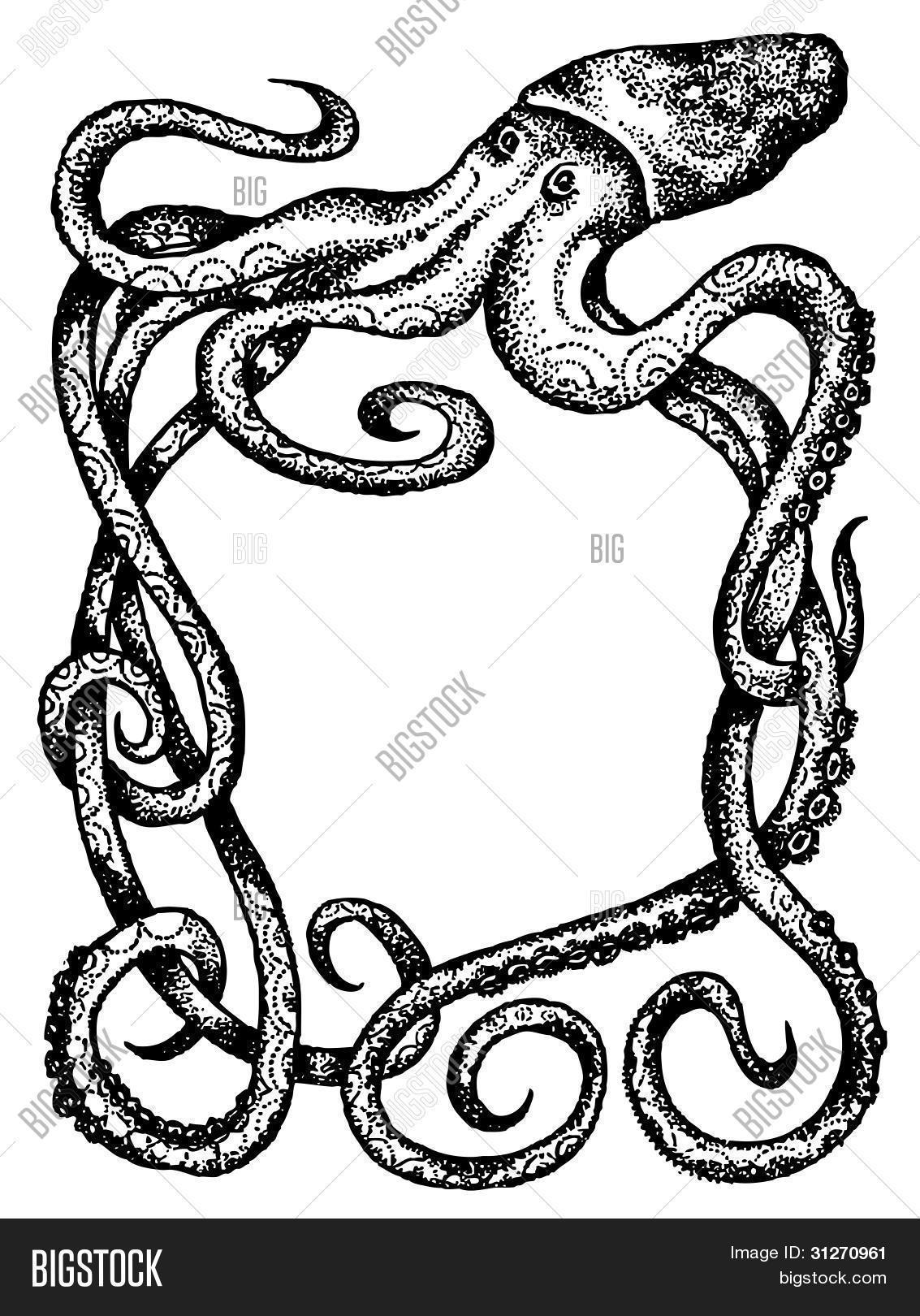 Giant Octopus Frame Vector & Photo (Free Trial) | Bigstock