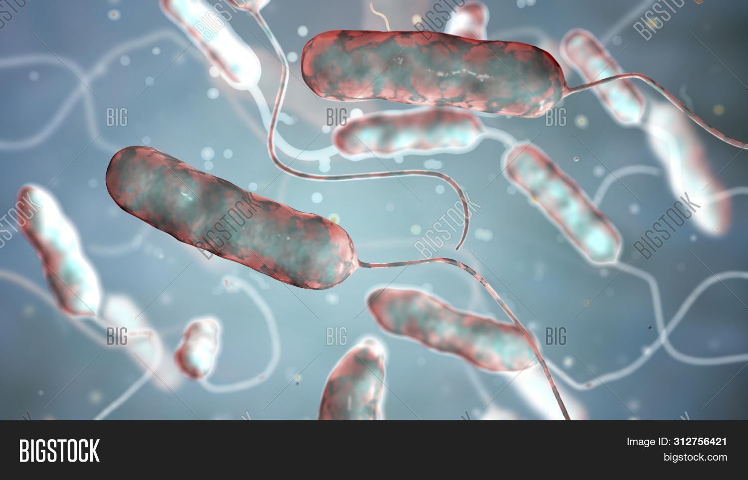Legionella Pneumophila Image & Photo (Free Trial) | Bigstock