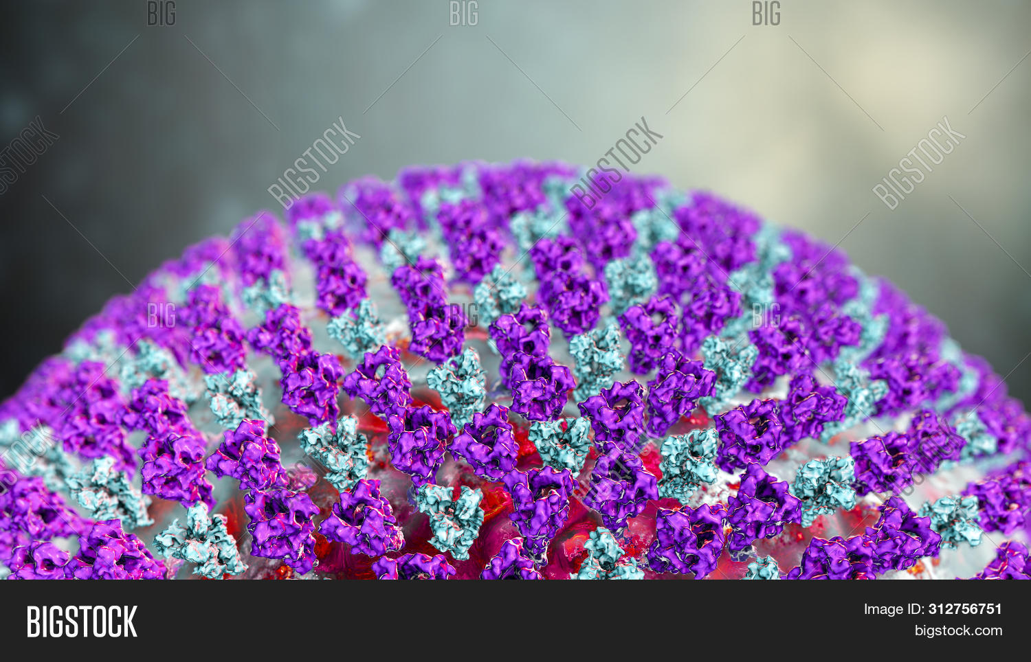Measles Virus, Closeup Image & Photo (Free Trial) | Bigstock