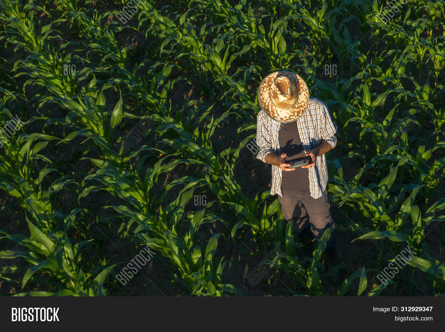 Corn Farmer Drone Image & Photo (Free Trial) | Bigstock