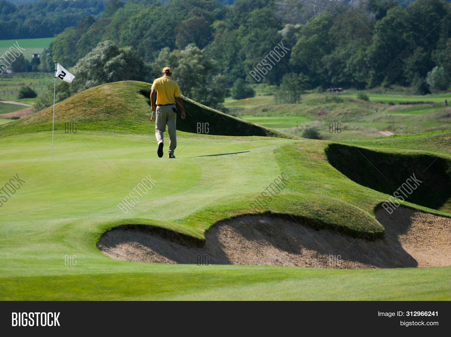 Man Golfer On Golf Image & Photo (Free Trial) | Bigstock