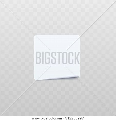 Blank Square Stickers Vector & Photo (Free Trial) | Bigstock