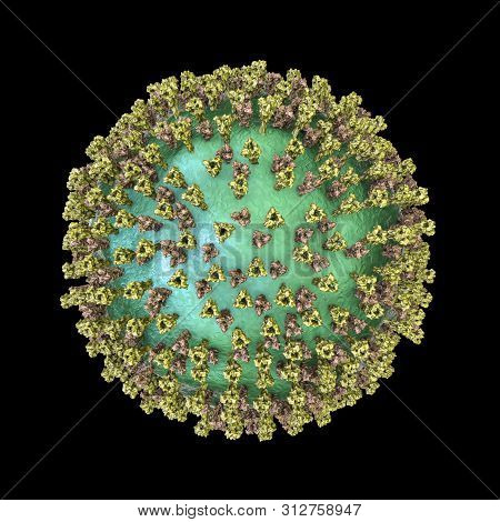 Measles Virus. 3d Image & Photo (Free Trial) | Bigstock
