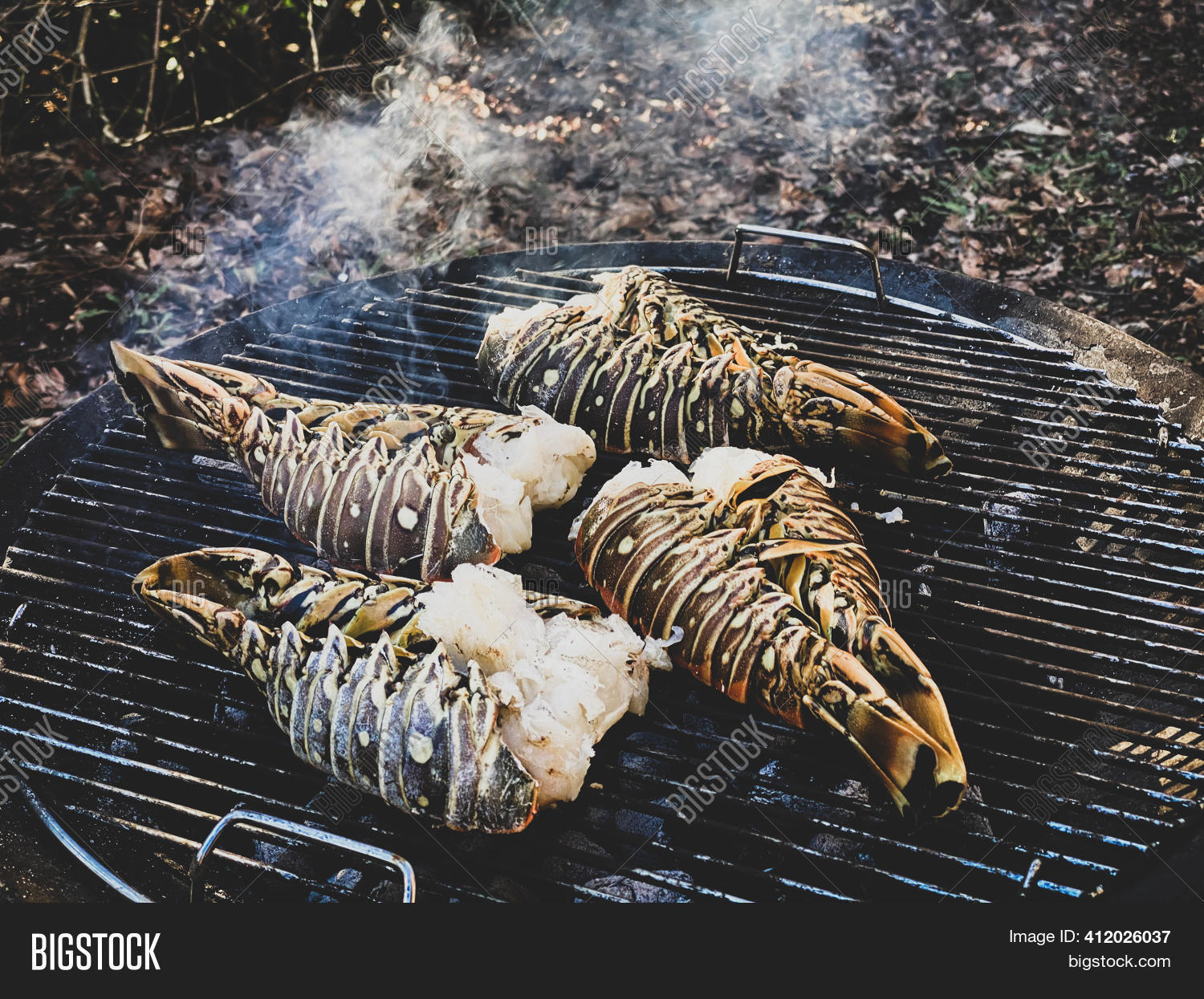 Spiny Lobsters Cooked Image & Photo (Free Trial) | Bigstock