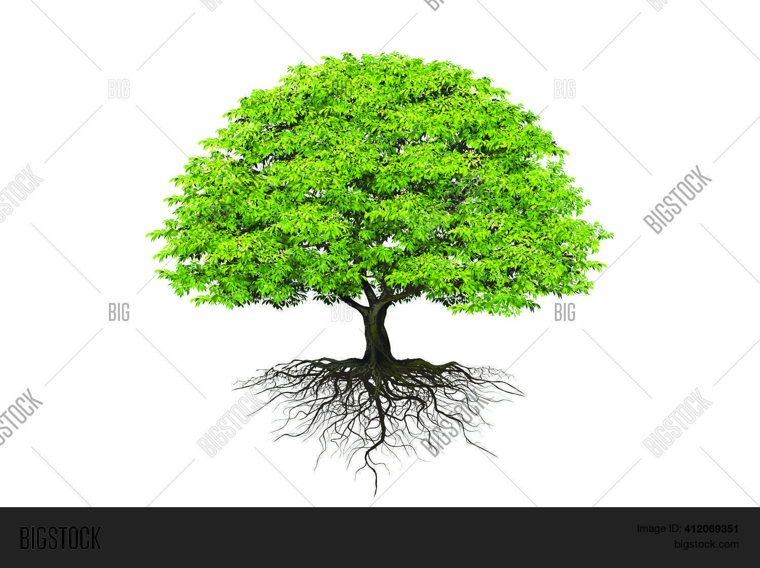 Realistic Trees Vector & Photo (Free Trial) | Bigstock