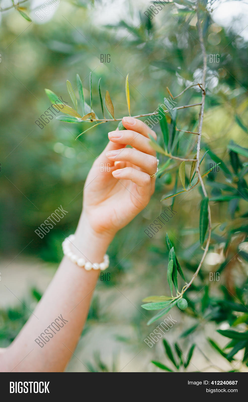Graceful Hand Woman Image & Photo (Free Trial) | Bigstock