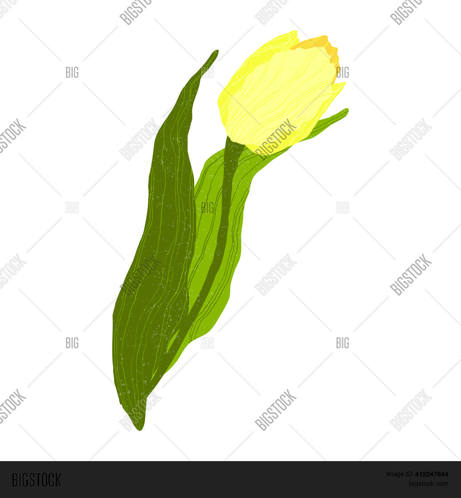 Single Bright Tulip Vector & Photo (Free Trial) | Bigstock
