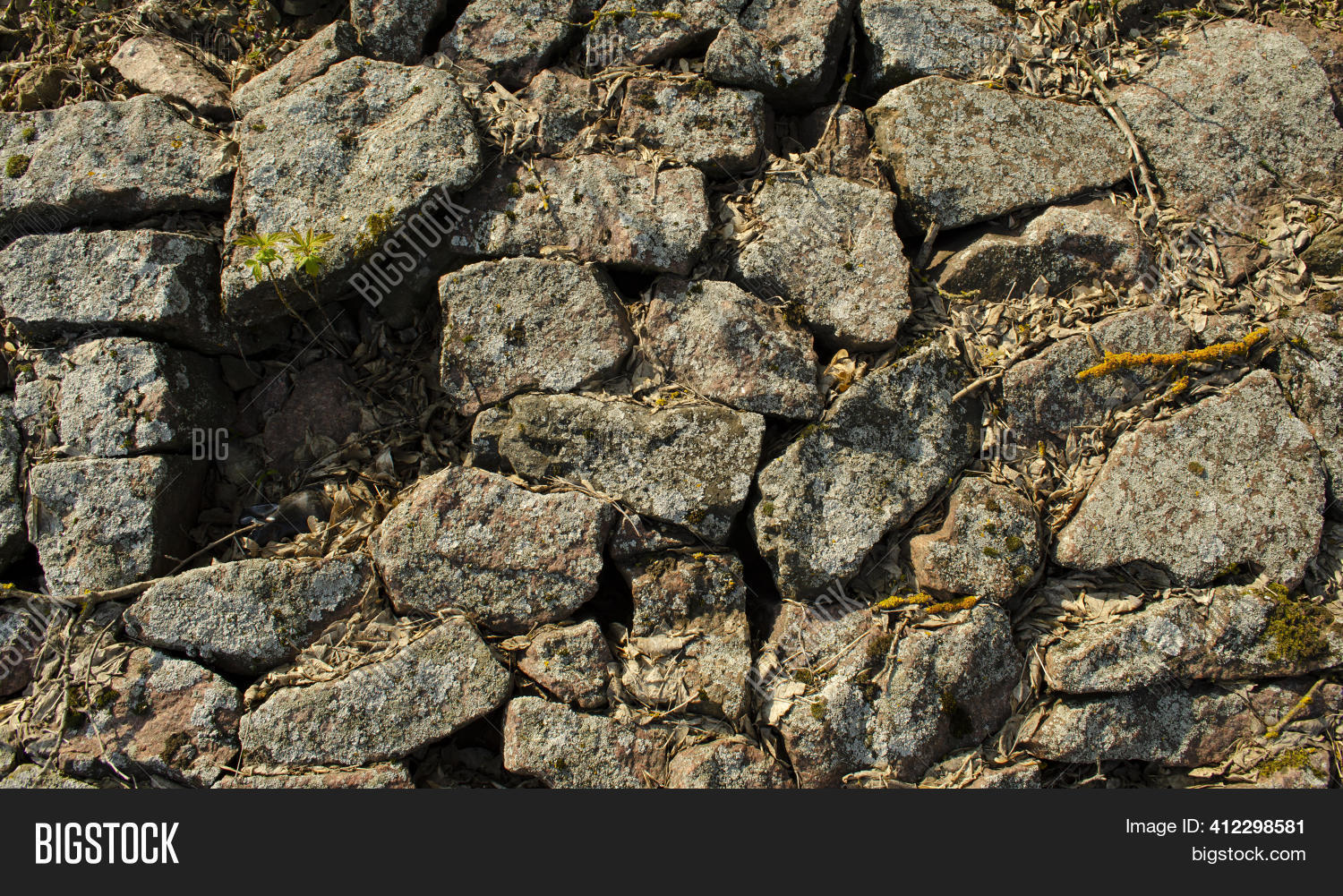 Cobblestone Grass Image & Photo (Free Trial) | Bigstock
