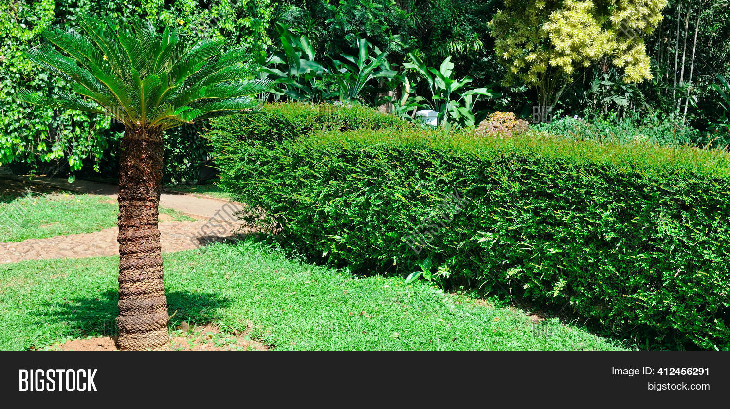 Beautiful Tropical Image & Photo (Free Trial) | Bigstock