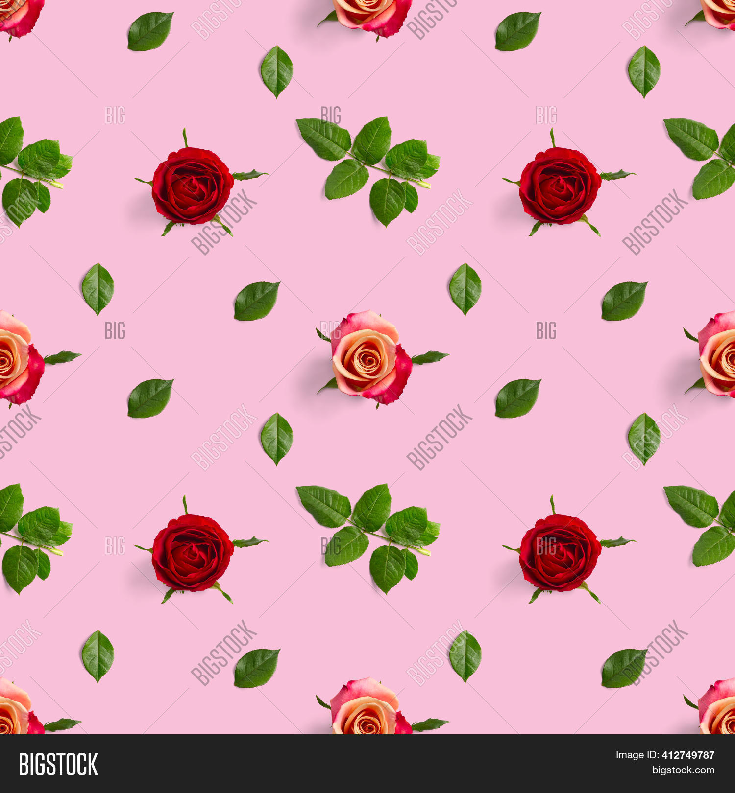 Rosebud Seamless Image & Photo (Free Trial) | Bigstock
