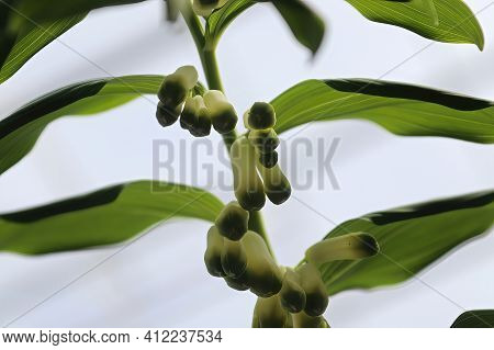 Bottom View Looking Image & Photo (Free Trial) | Bigstock