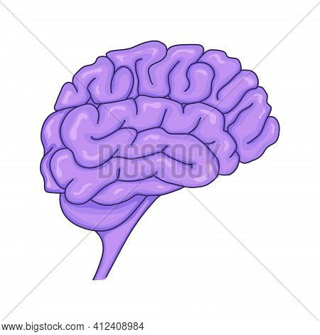Cartoon Brain. Hand Vector & Photo (Free Trial) | Bigstock