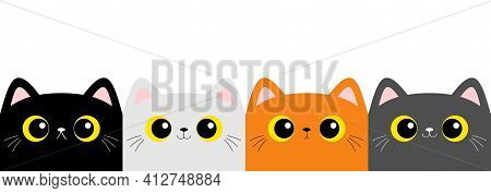 Cat Kitten Square Vector & Photo (Free Trial) | Bigstock