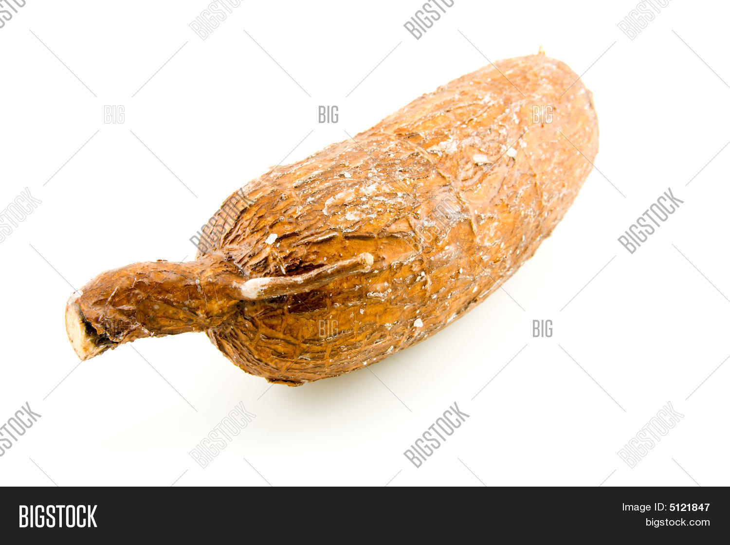 Yuca Root Image & Photo (Free Trial) | Bigstock