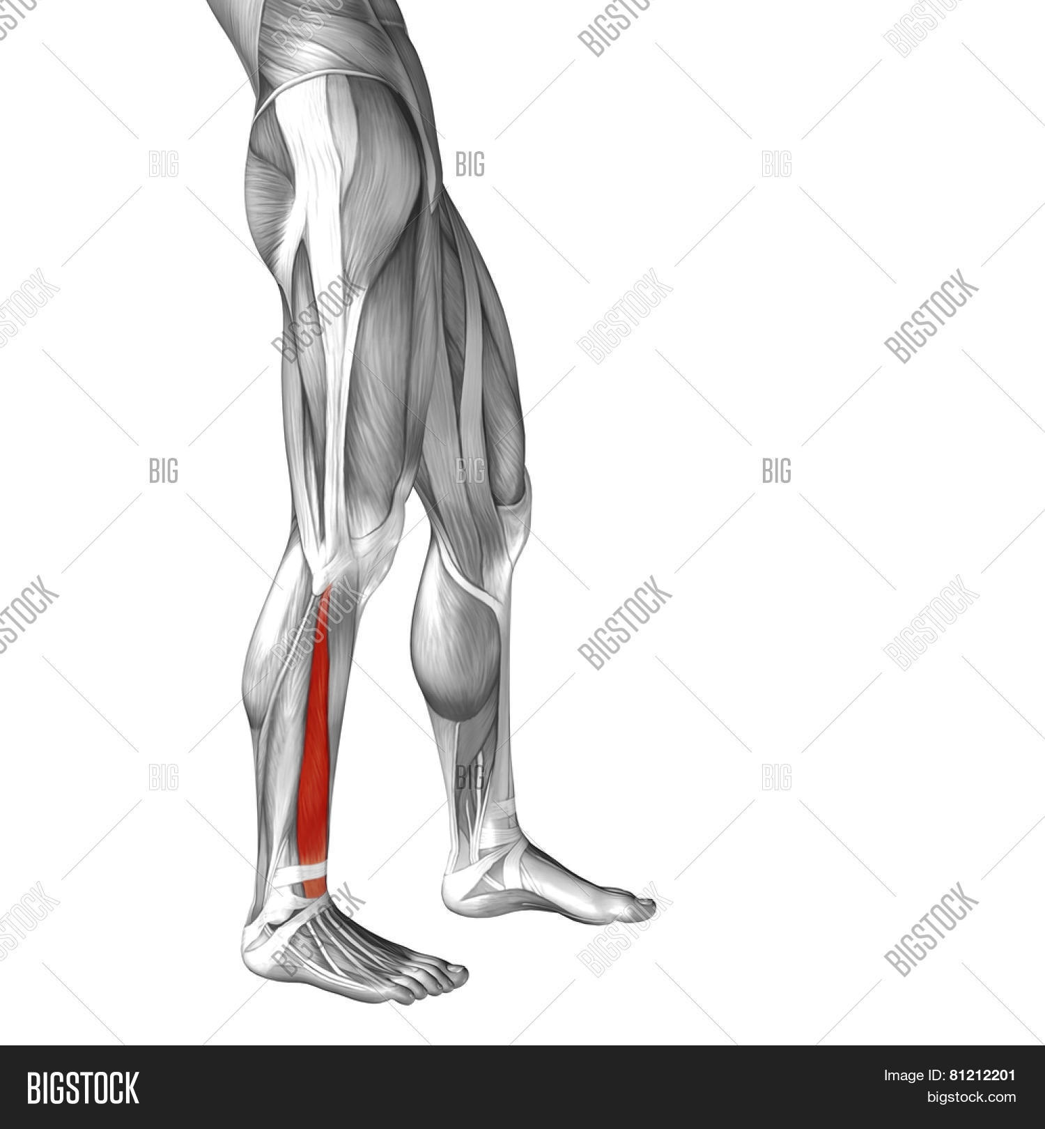 Concept 图片和照片（免费试用） | Bigstock