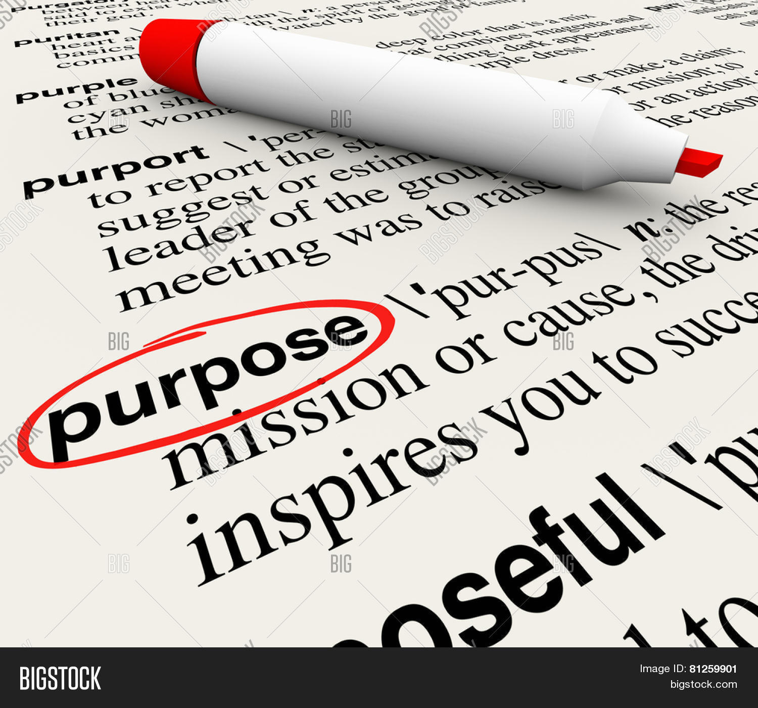 Purpose Word Image & Photo (Free Trial) | Bigstock