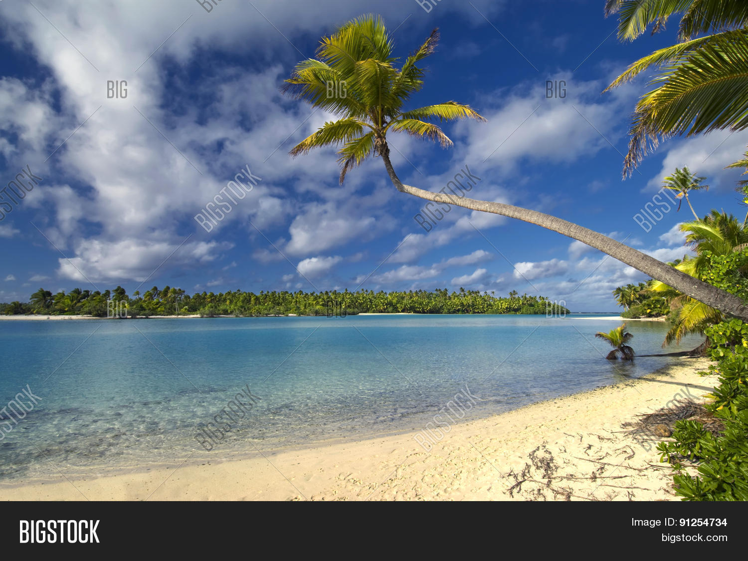 Palm Tree Over Lagoon Image & Photo (Free Trial) | Bigstock