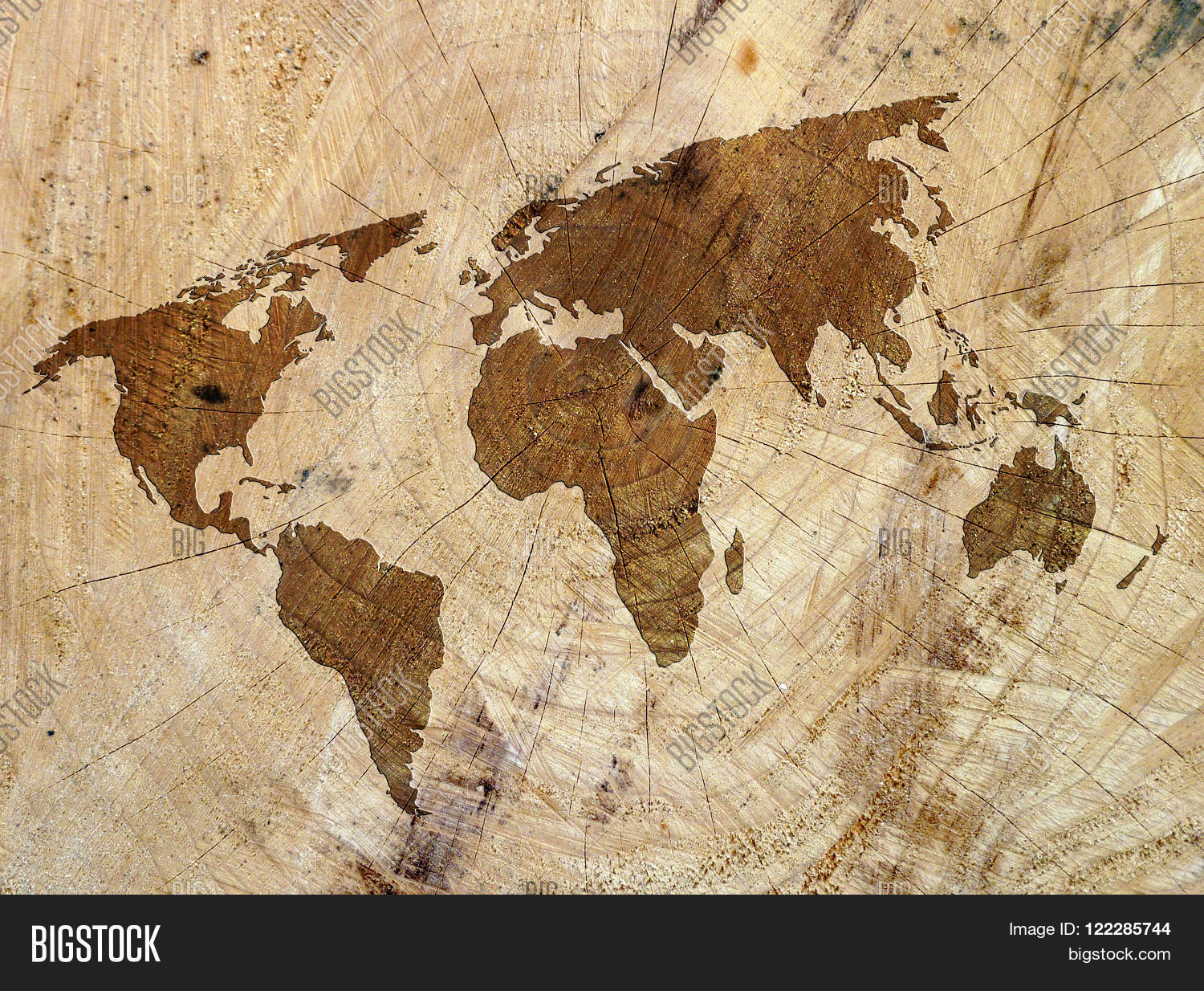 Closeup Wood Texture Image & Photo (Free Trial) | Bigstock