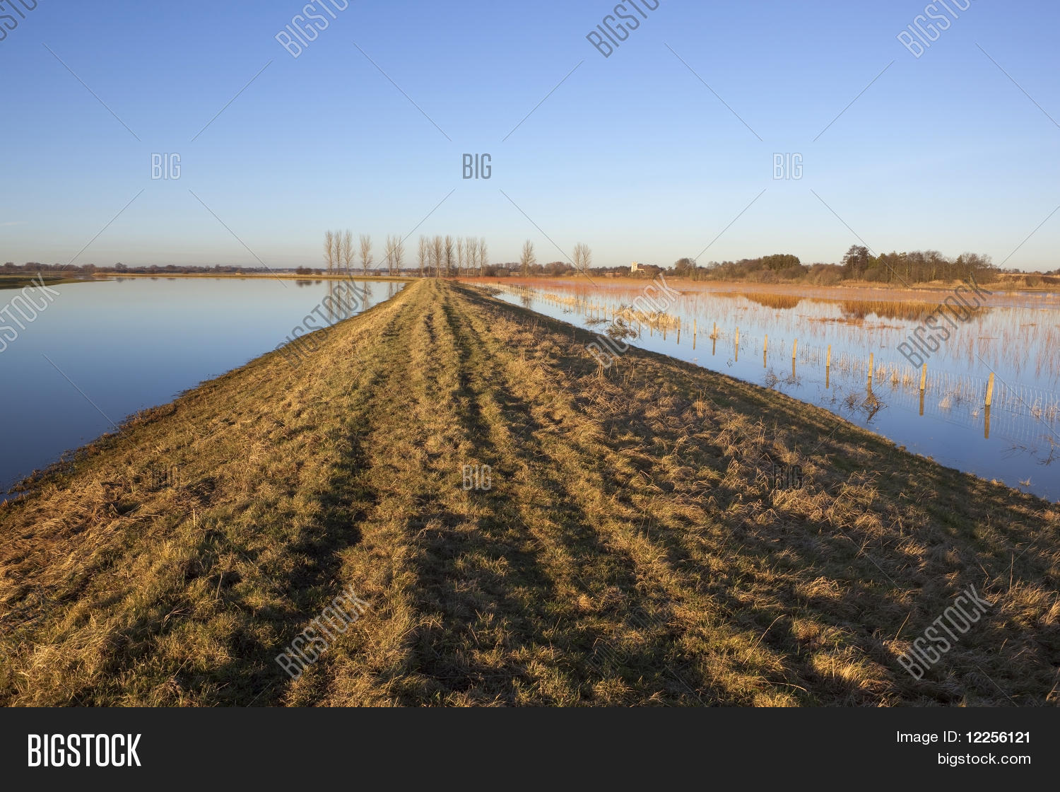Flooded River Bank Image & Photo (Free Trial) | Bigstock