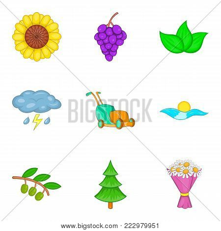 Pollination Icons Set Vector & Photo (Free Trial) | Bigstock