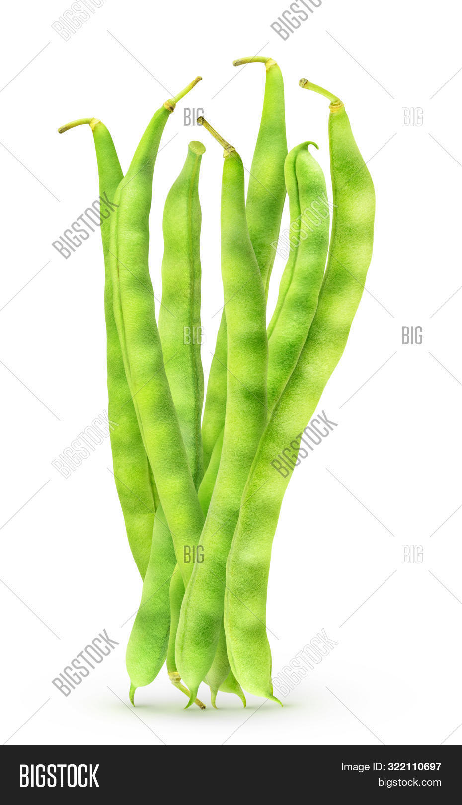 Isolated Runner Beans Image & Photo (Free Trial) | Bigstock