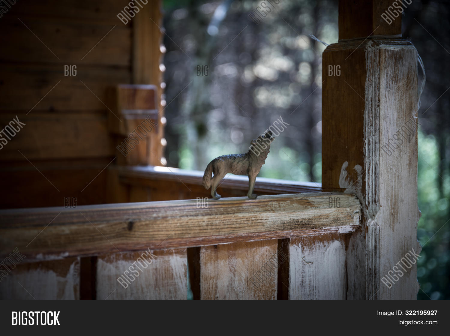Howling Wolf Forest. Image & Photo (Free Trial) | Bigstock
