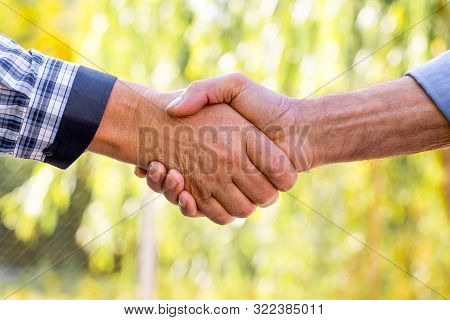 Strong Male Handshake Image & Photo (Free Trial) | Bigstock