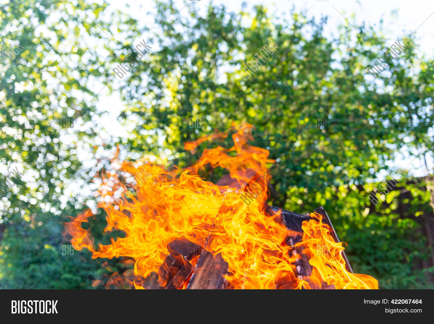 Large Bonfire On Image & Photo (Free Trial) | Bigstock