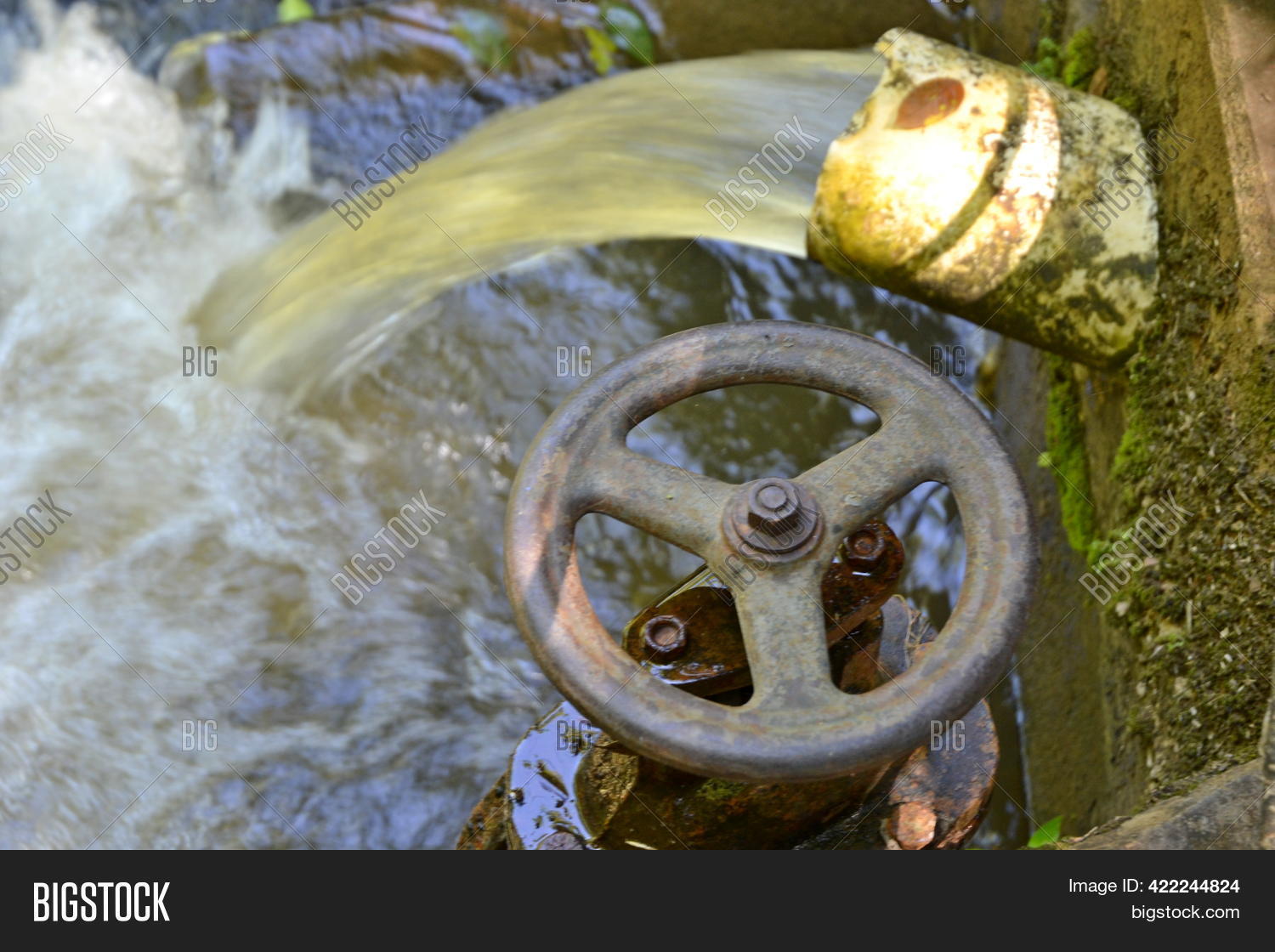 Polluted Water. Image & Photo (Free Trial) | Bigstock